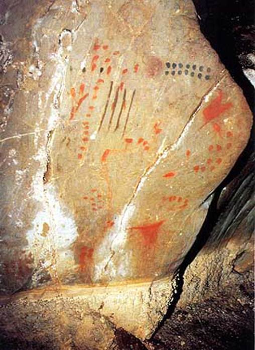 Fellows Friday with Genevieve von Petzinger | TED Blog