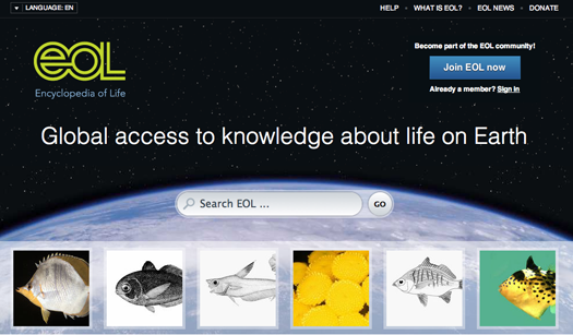 Explore the relaunched Encyclopedia of Life: EOLv2 | TED Blog