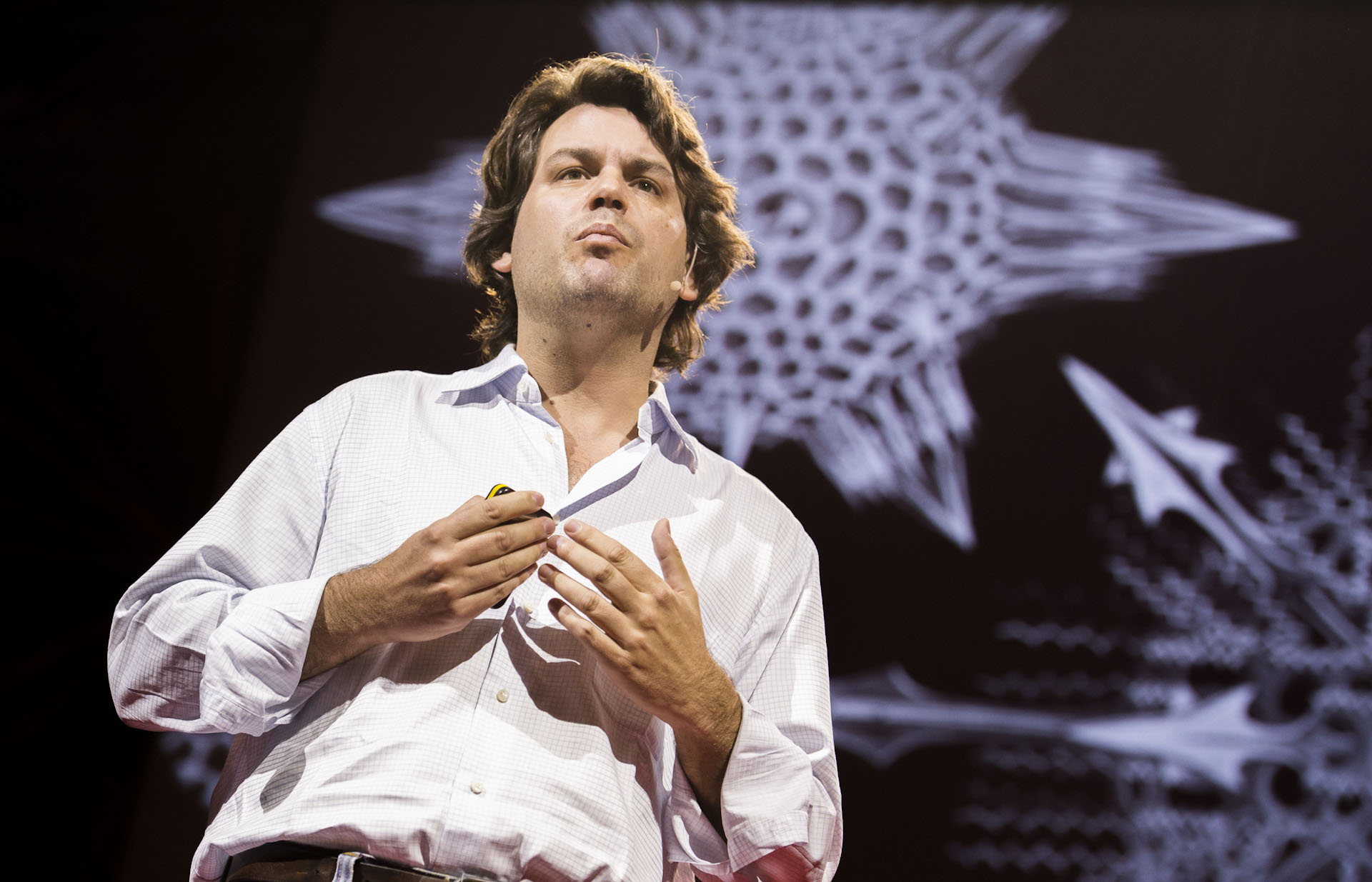 Process, a new role for the architect: Michael Hansmeyer at TEDGlobal ...