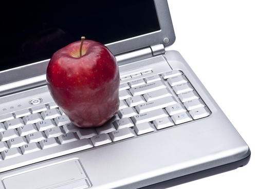 12 great free online courses | TED Blog