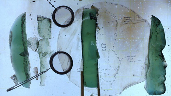 In Short: An app of robot demos, a ruling on eyewitness testimony | TED ...