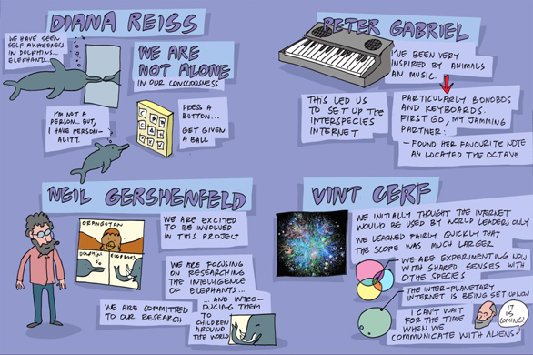 A field guide to TED graphic notes | TED Blog