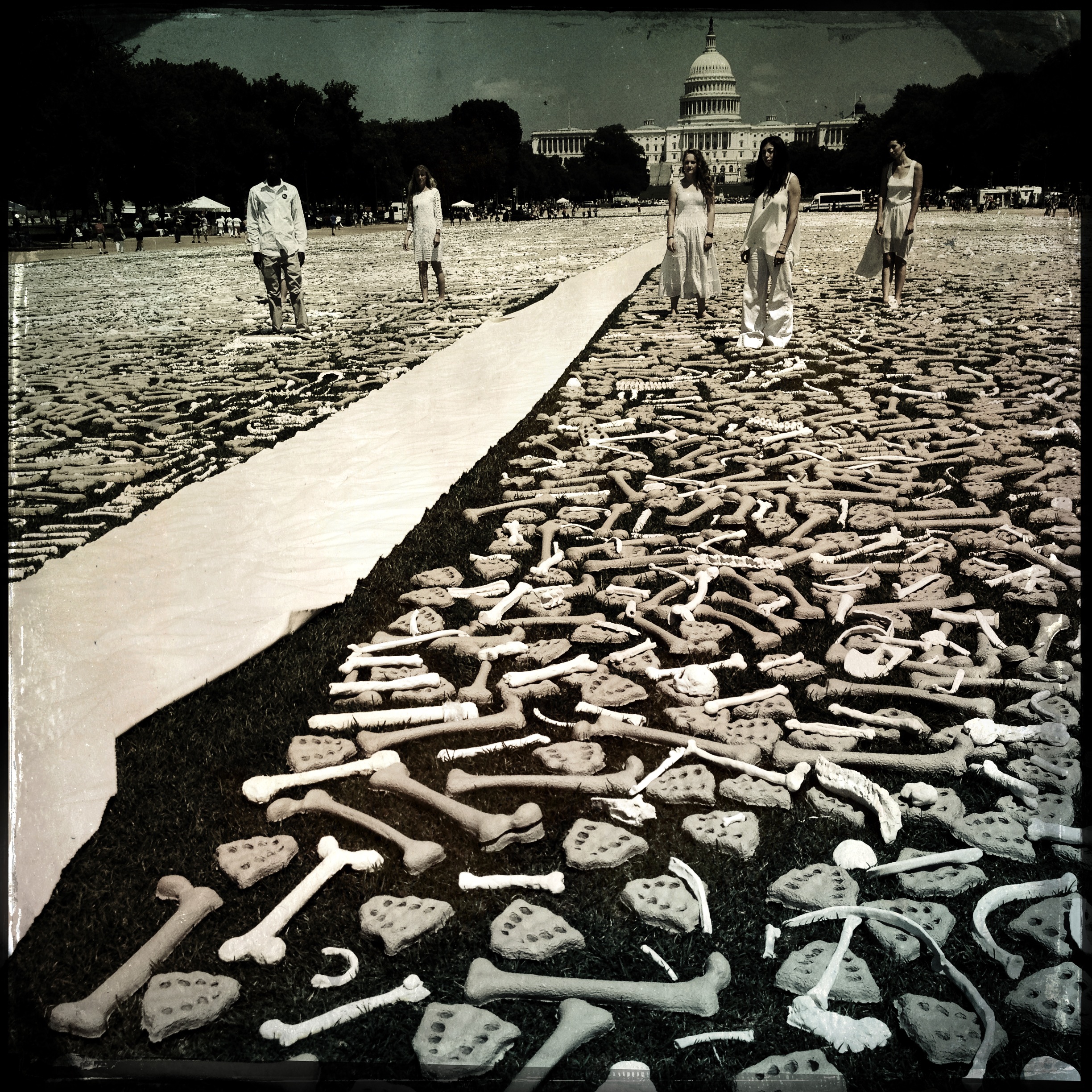 Naomi Natale lays One Millon Bones on the National Mall | TED Blog