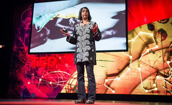 The past and future of malaria: A Q&A with Sonia Shah | TED Blog
