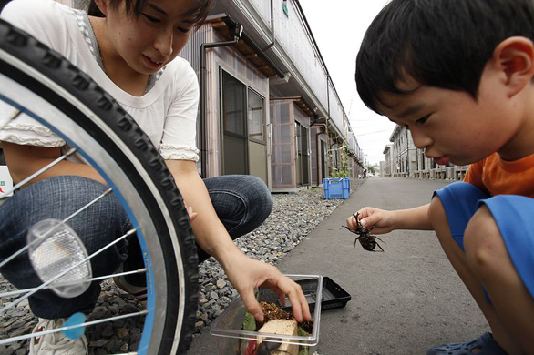 Those who stayed in Chernobyl + Fukushima: Excerpt from a new TED Book ...