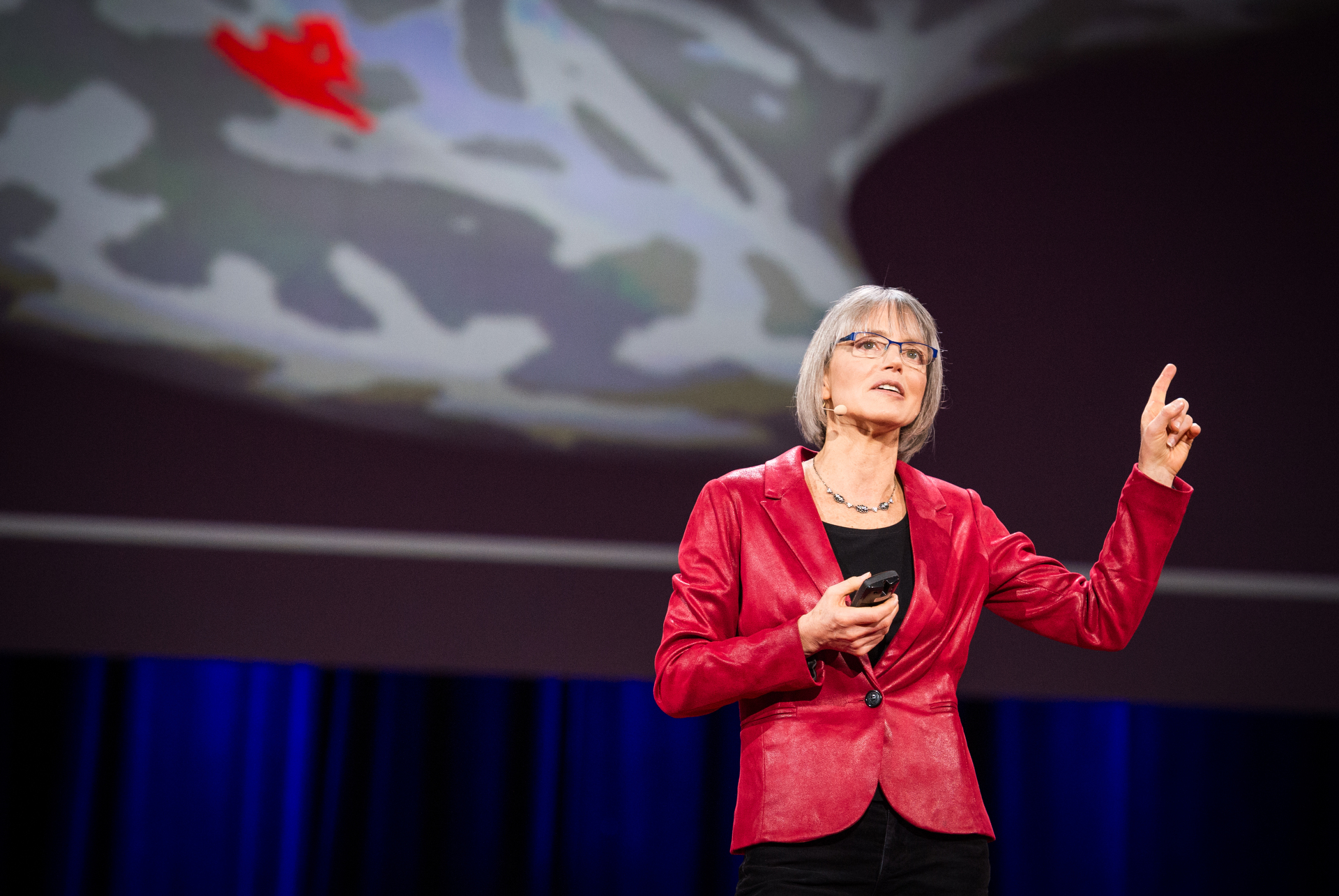 The brain is a Swiss Army Knife: Nancy Kanwisher at TED2014 | TED Blog