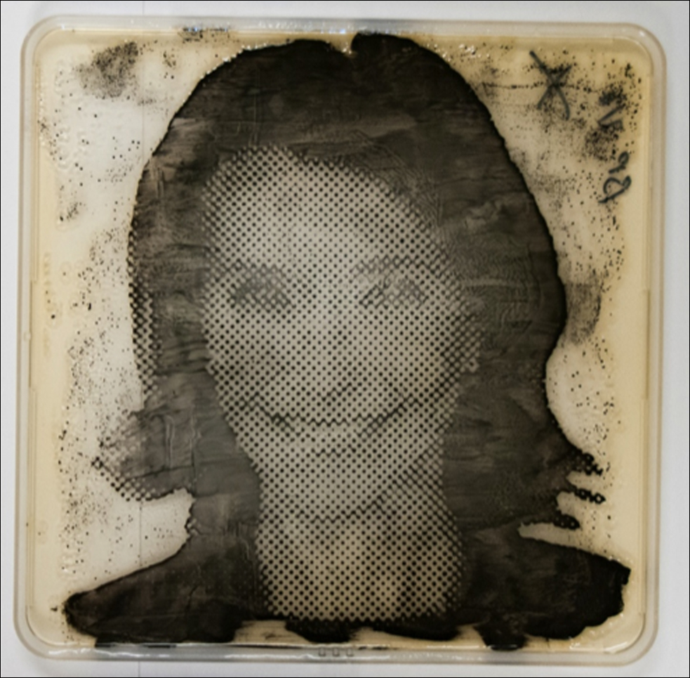 Imagination in health and medicine? 11 fresh ideas from TEDMED | TED Blog