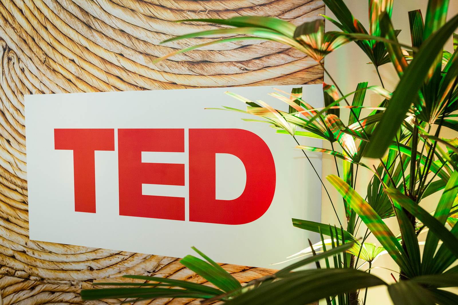 Reflections on TEDGlobal 2014, from the community | TED Blog