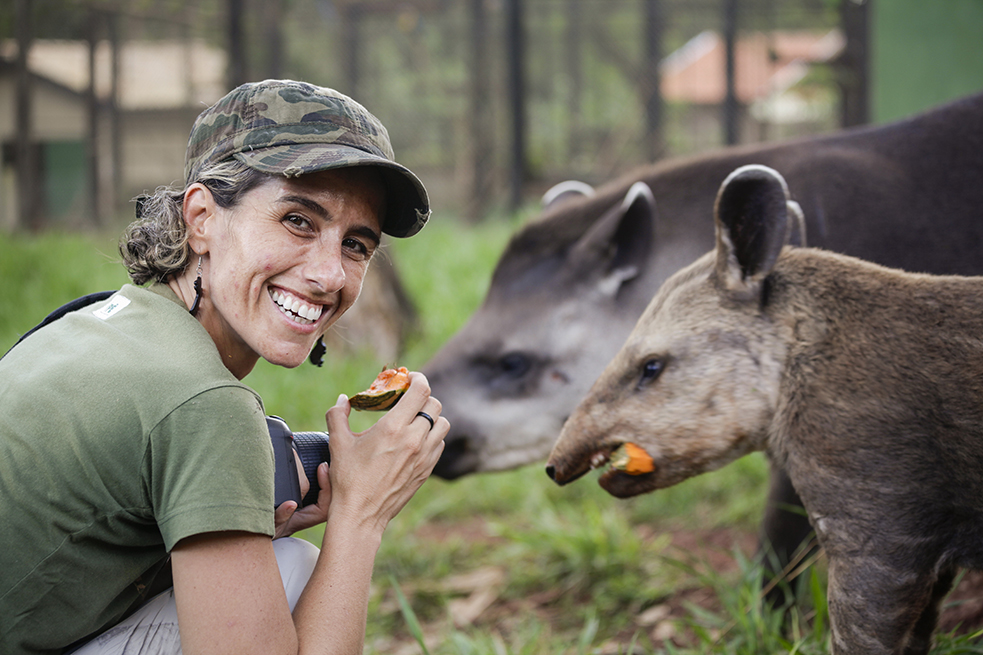 10 things you need to know about tapirs | TED Blog