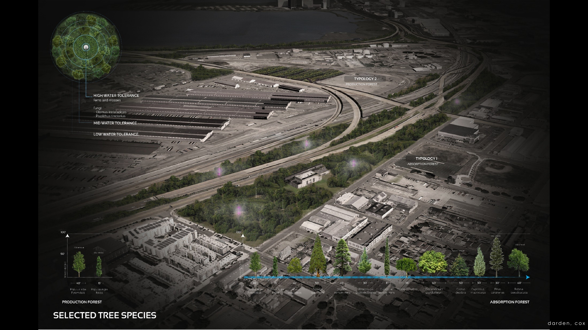 How computational landscape architecture might reshape the world | TED Blog