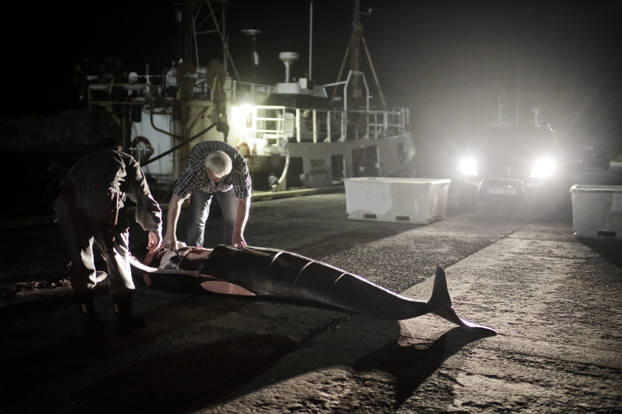 A TED Fellow’s documentary investigates whale hunting in the Faroes ...