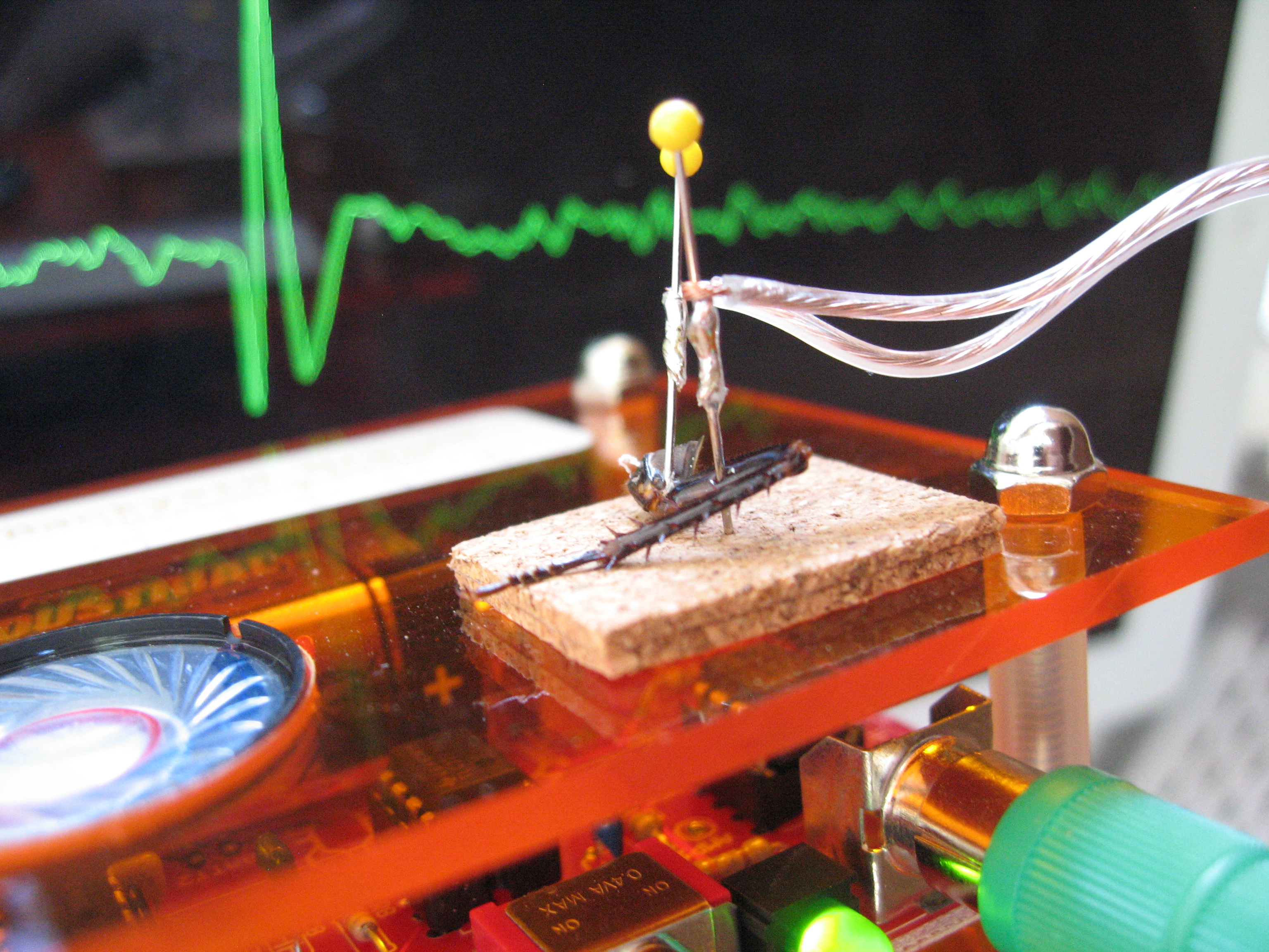 How DIY neuroscience kits put research in the hands of the curious ...