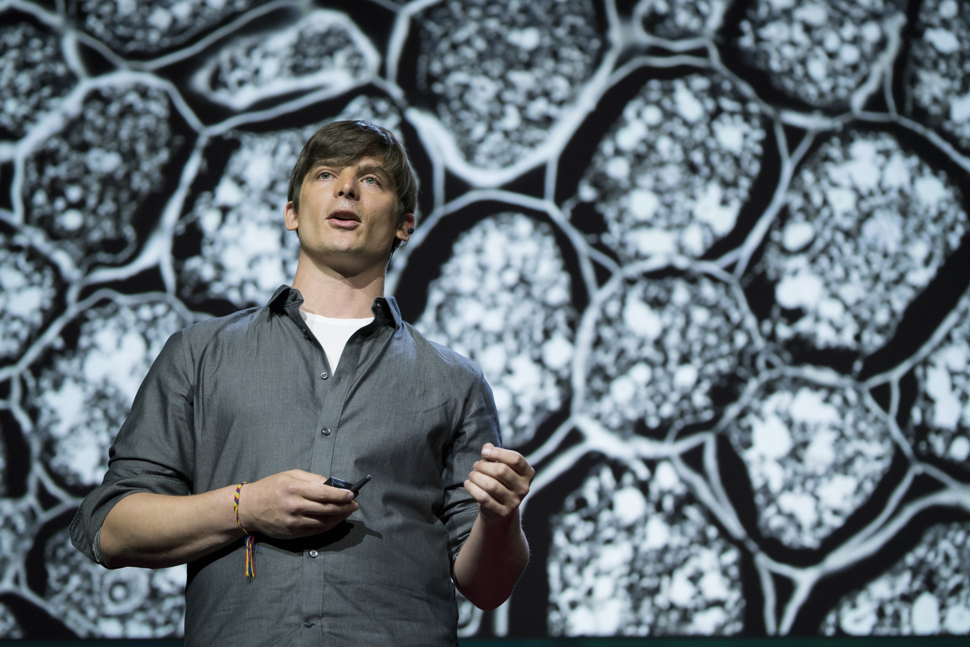 Things we think we know: Notes from Session 2 of TEDSummit | TED Blog