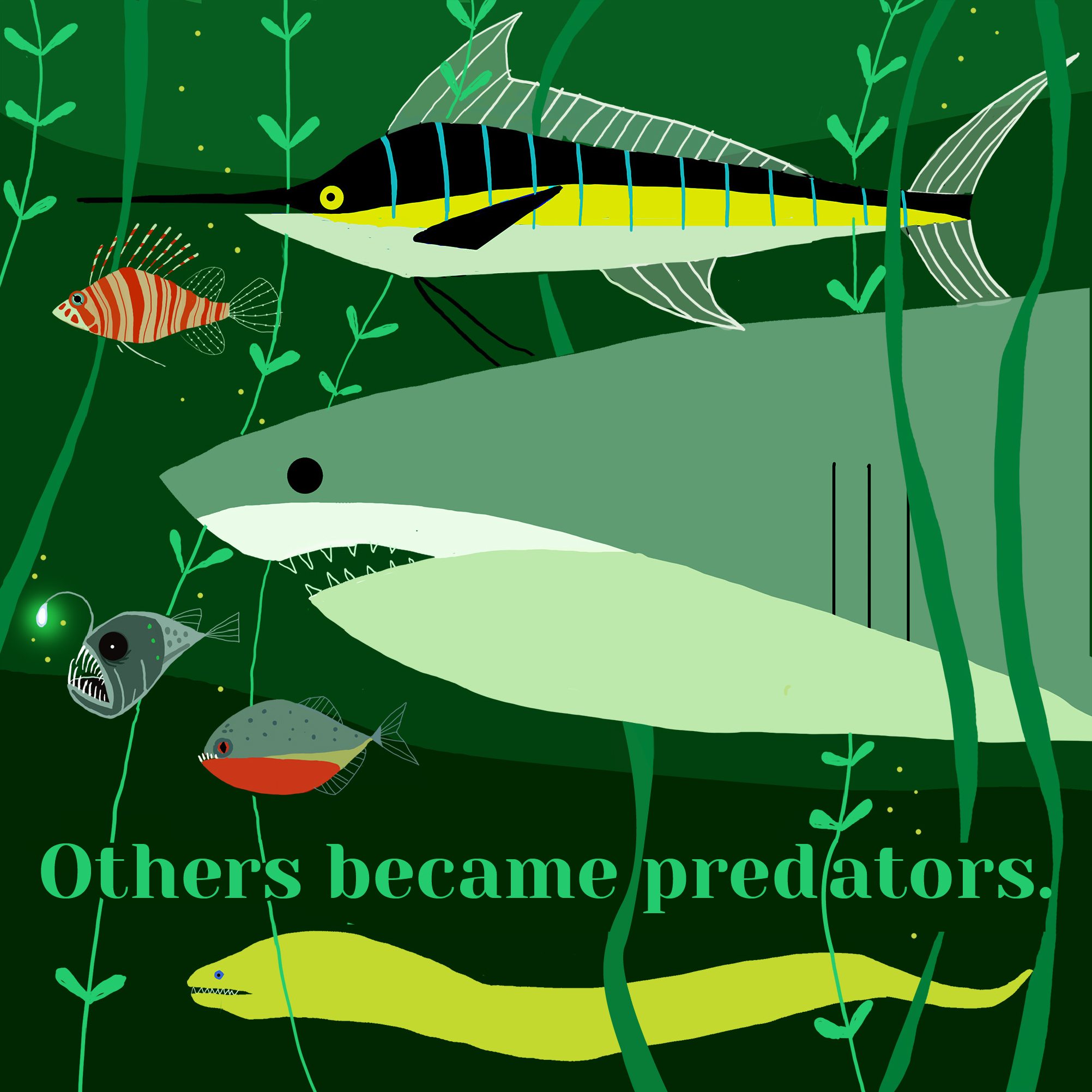 Gallery: Who won the evolutionary race in our oceans? | TED Blog