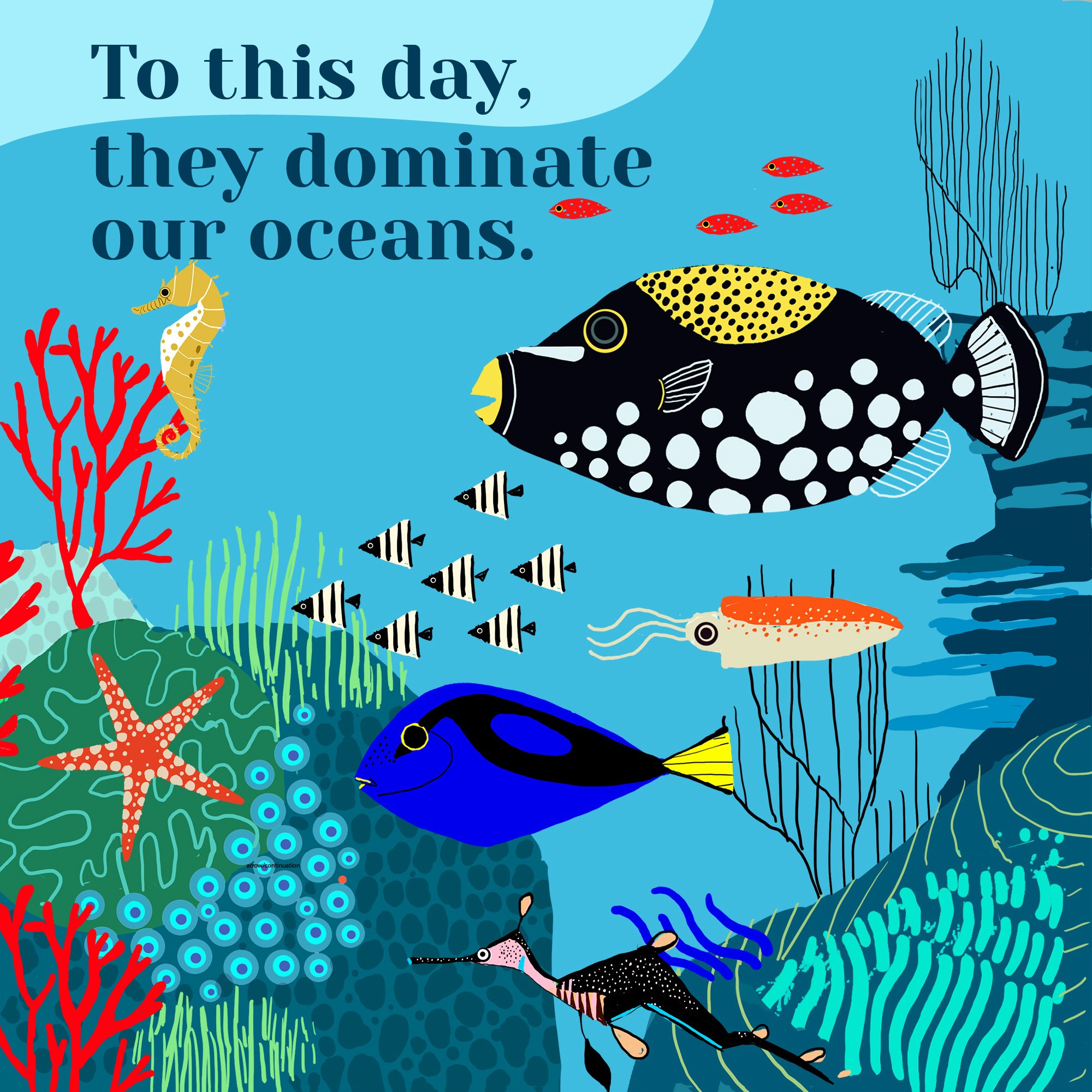 Gallery: Who won the evolutionary race in our oceans? | TED Blog