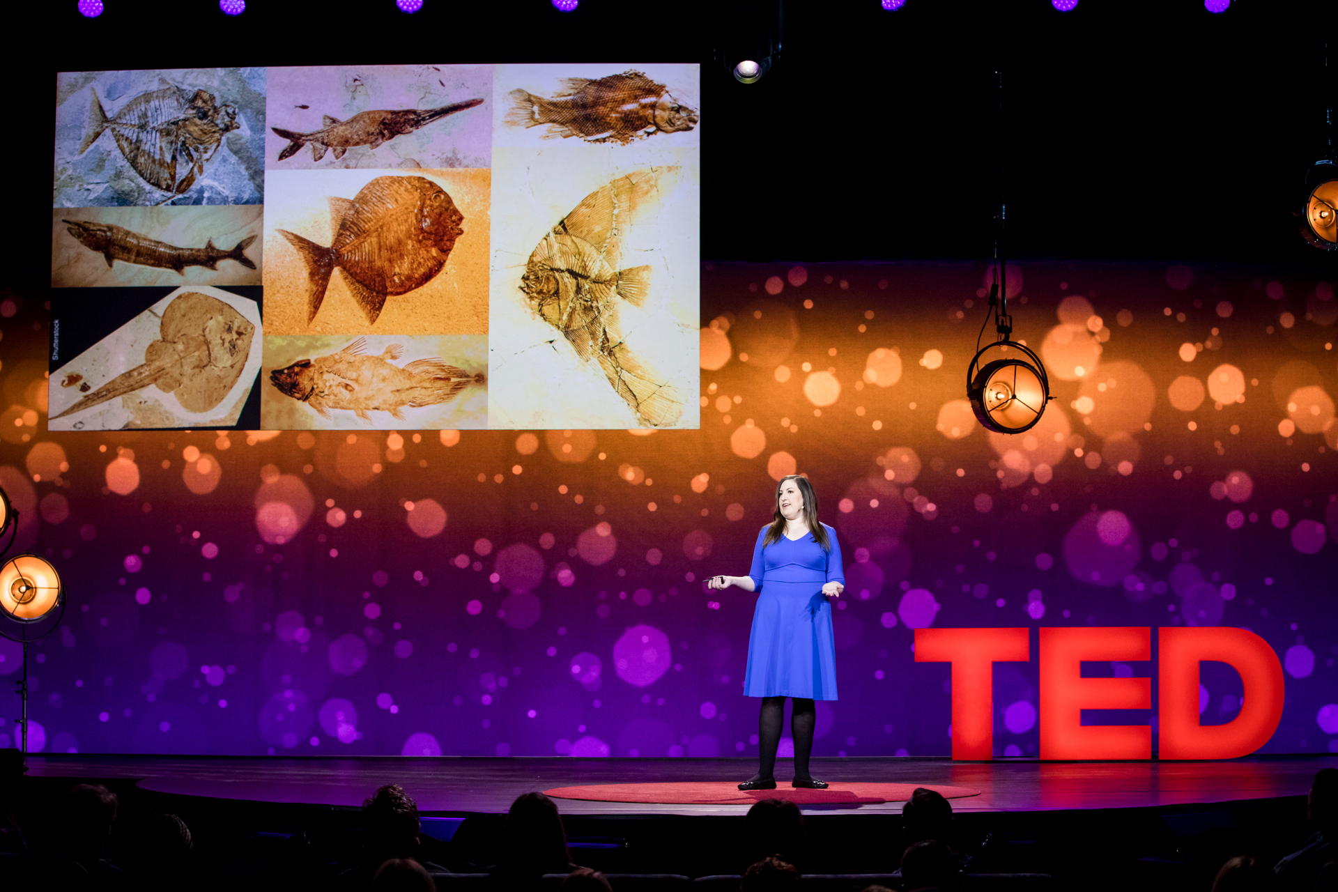 Storytellers and scientists: Notes from TED Fellows Session 2 at ...