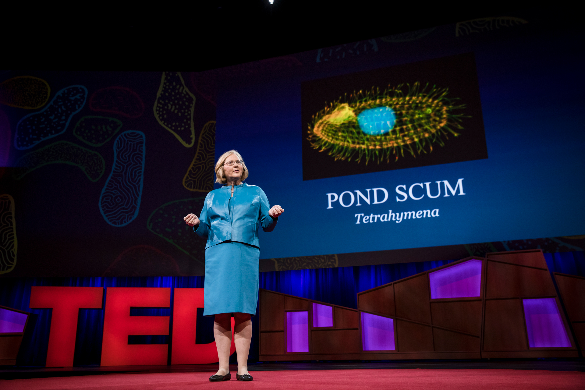 In Case You Missed It: The personal talks from day 4 of TED2017 | TED Blog