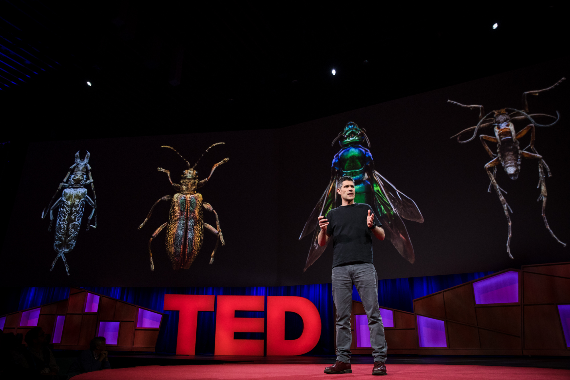 Bugs and bodies: The talks of Session 8 of TED2017 | TED Blog