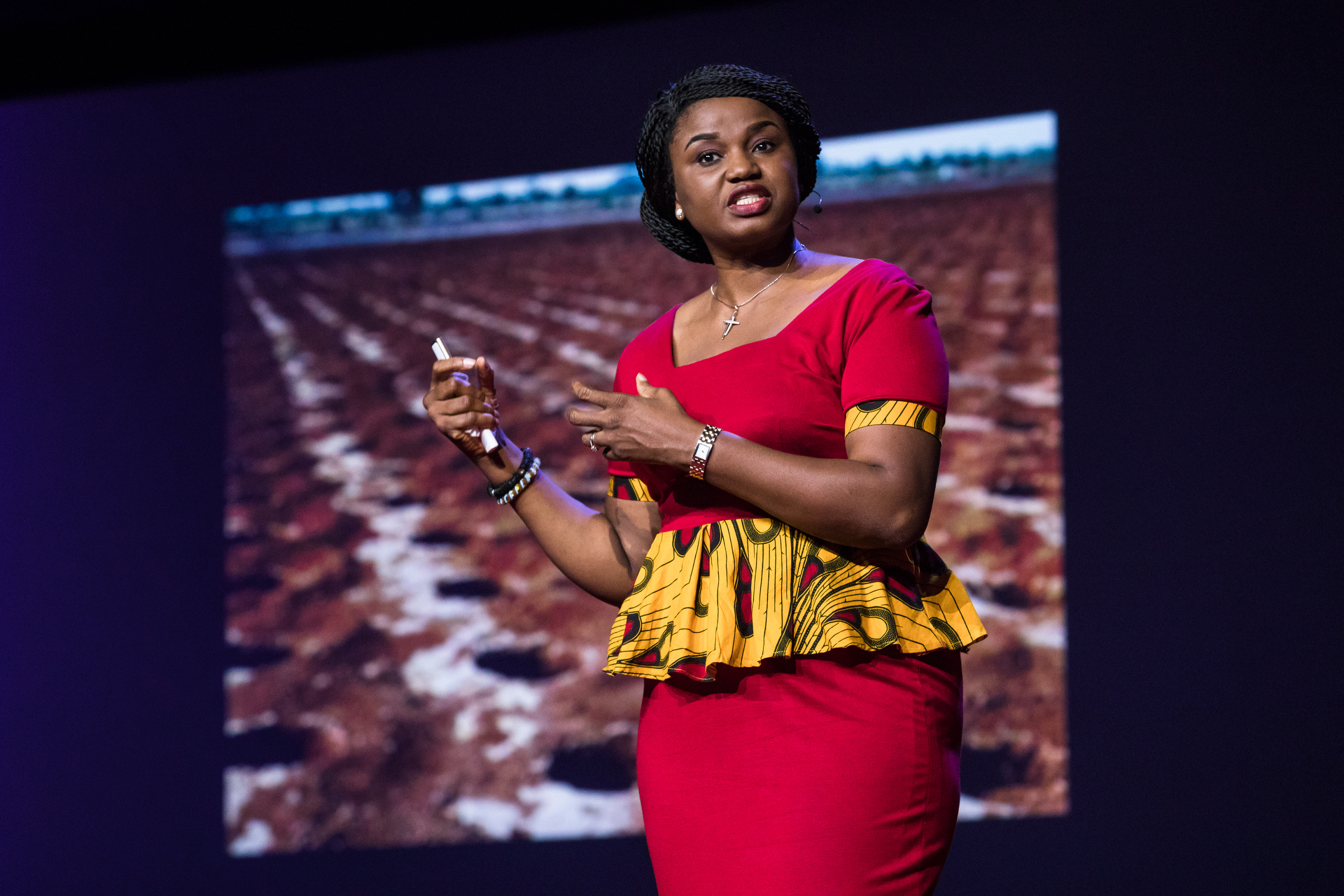 One jump forward: Notes from Session 3 of TEDGlobal: Leapfrog | TED Blog