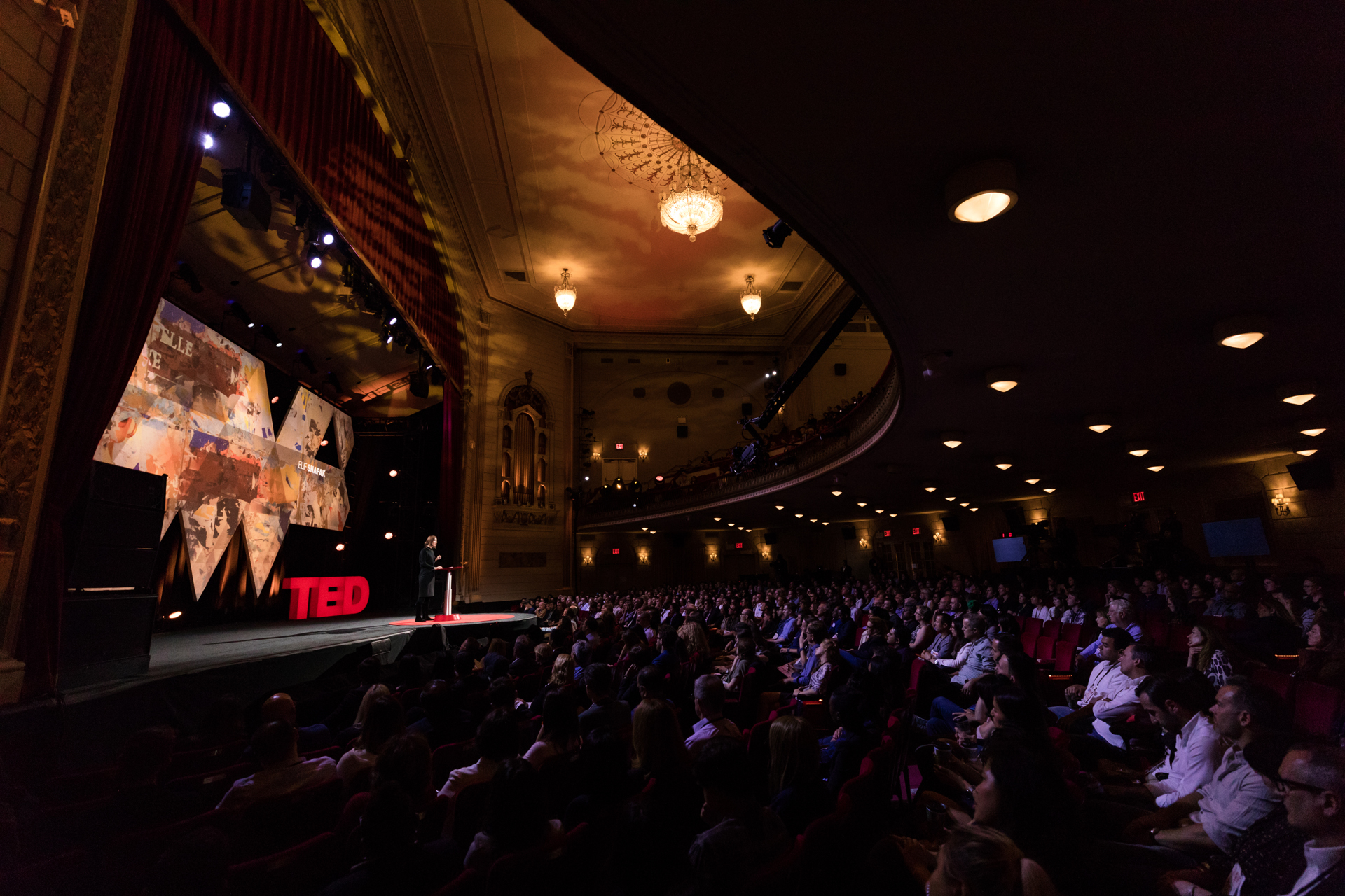 Future visions: The talks of TEDGlobalNYC | TED Blog