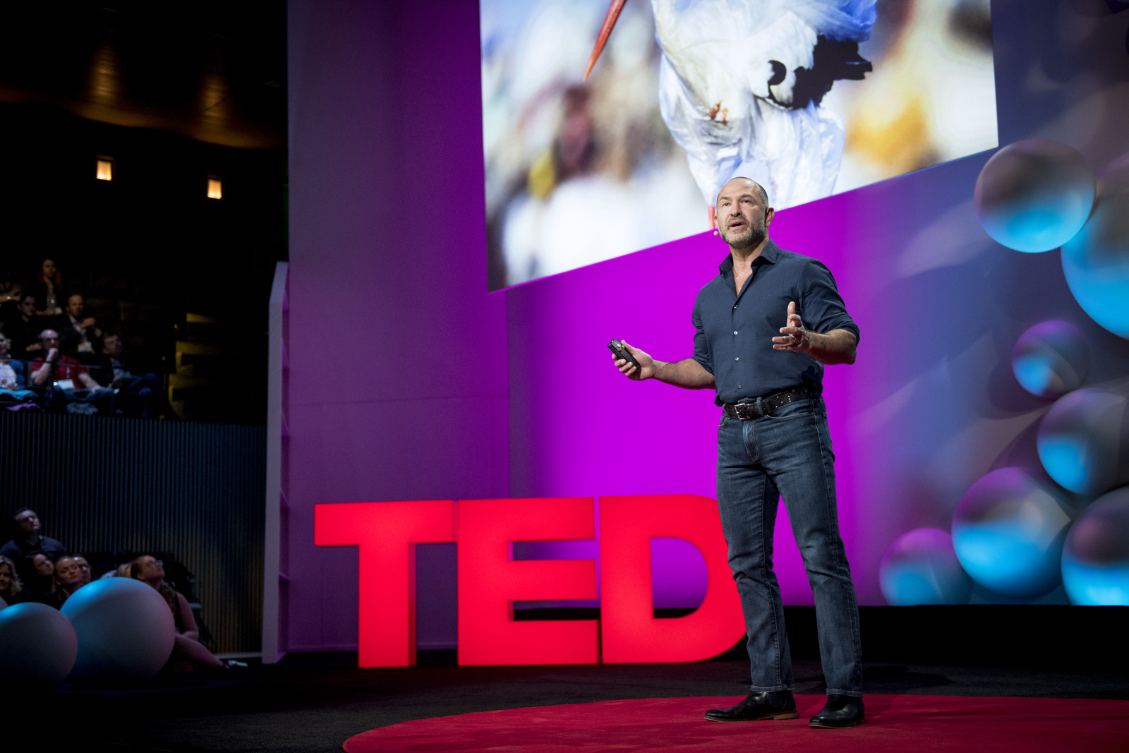 Why not? Pushing and prodding the possible, at TED@IBM | TED Blog