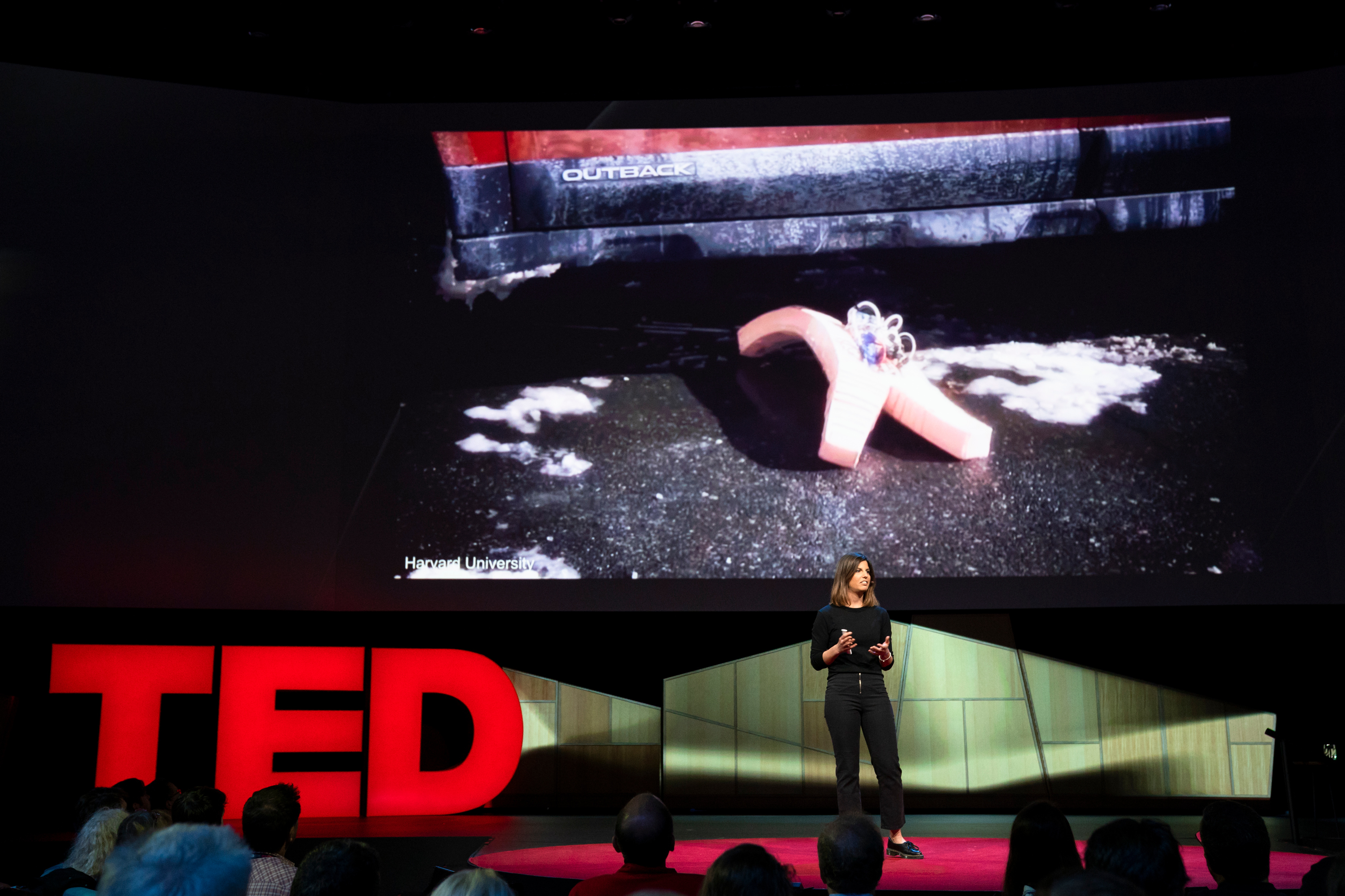 Nerdish delight: Notes from Session 3 of TED2018 | TED Blog