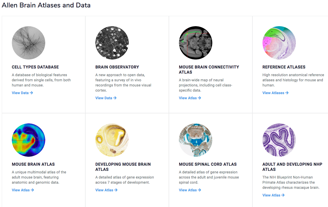 Remembering Paul Allen | TED Blog