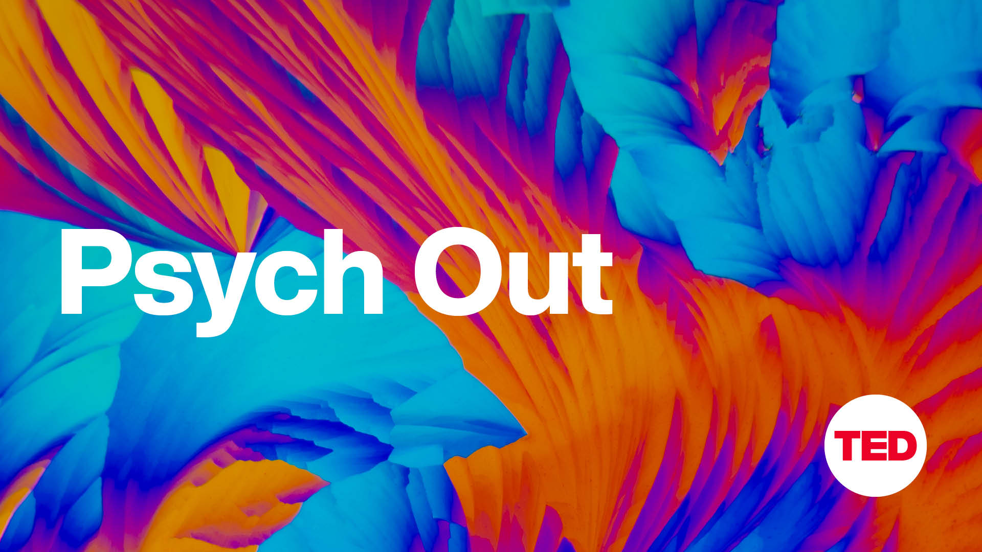 How to watch TED Talks on Plex | TED Blog