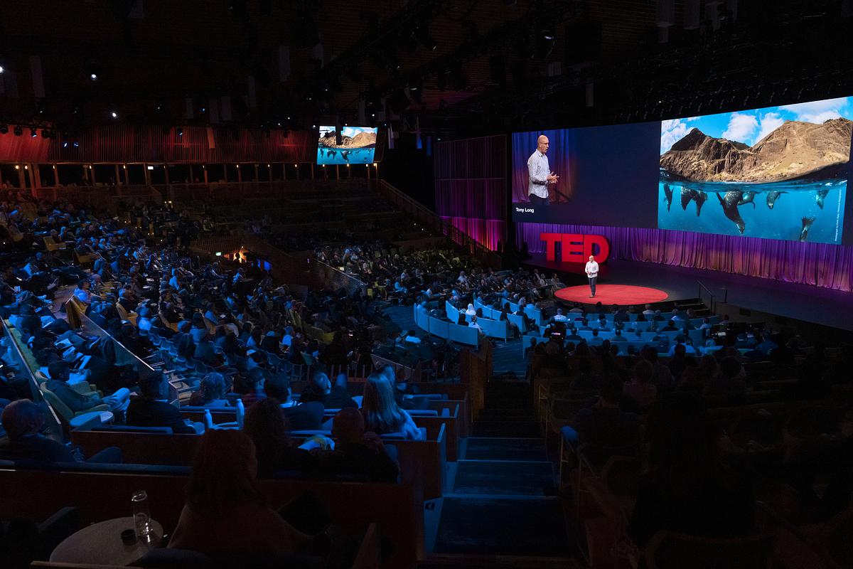 Delightedly and unapologetically nerding out: Notes on Session 8 of ...