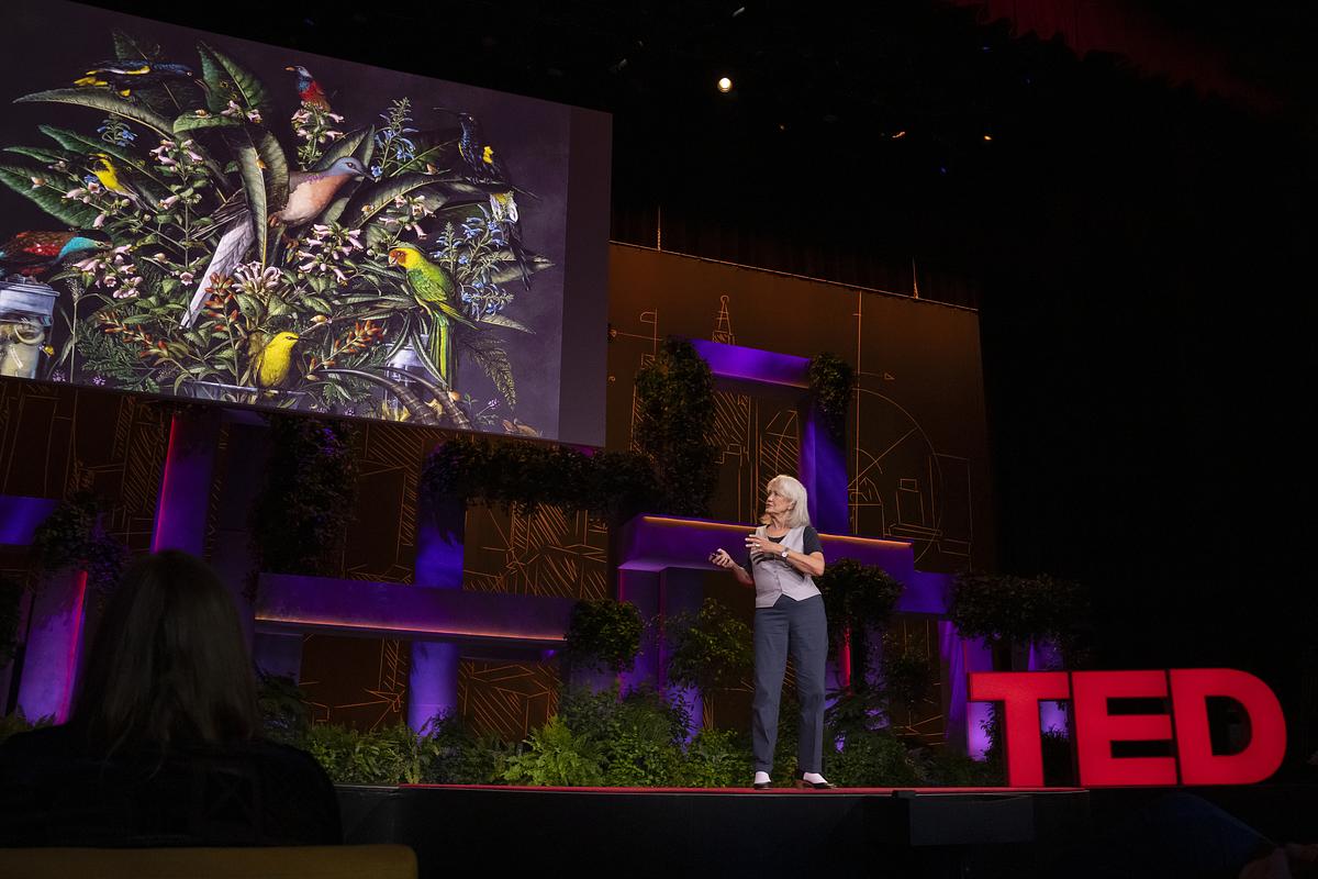 Magnitude: Notes from Session 4 of TED Countdown Summit 2023 | TED Blog