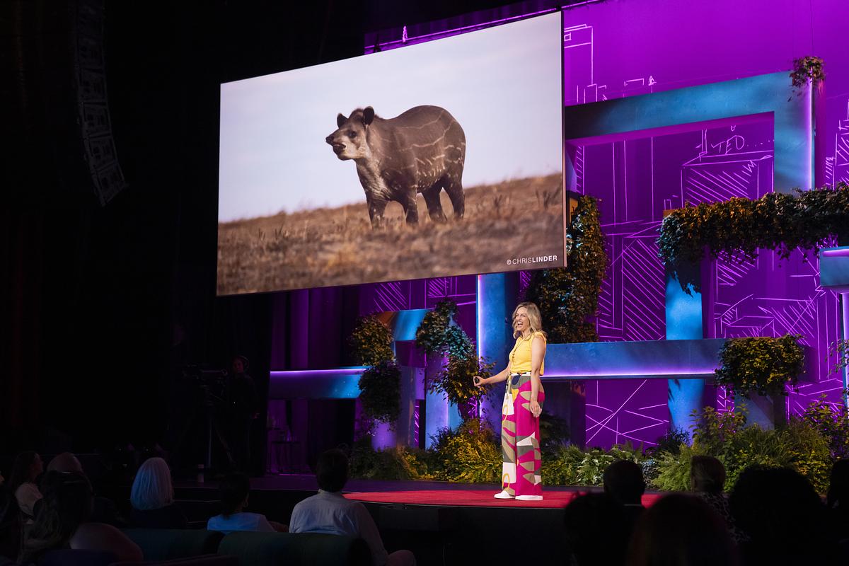 Renewal: Notes from Session 5 of TED Countdown Summit 2023 | TED Blog