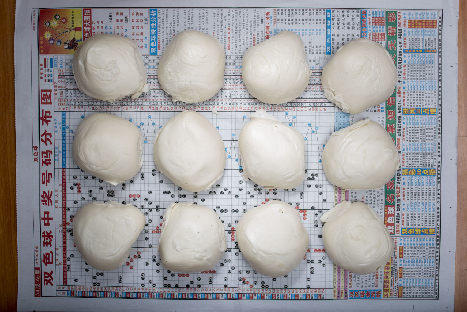 Meet the 2024 class of TED Fellows | TED Blog