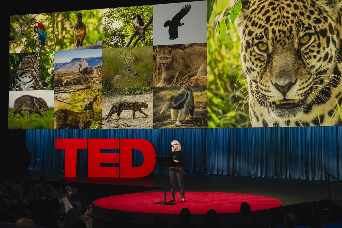 Dreamers: Notes on Session 1 of TED2024 | TED Blog