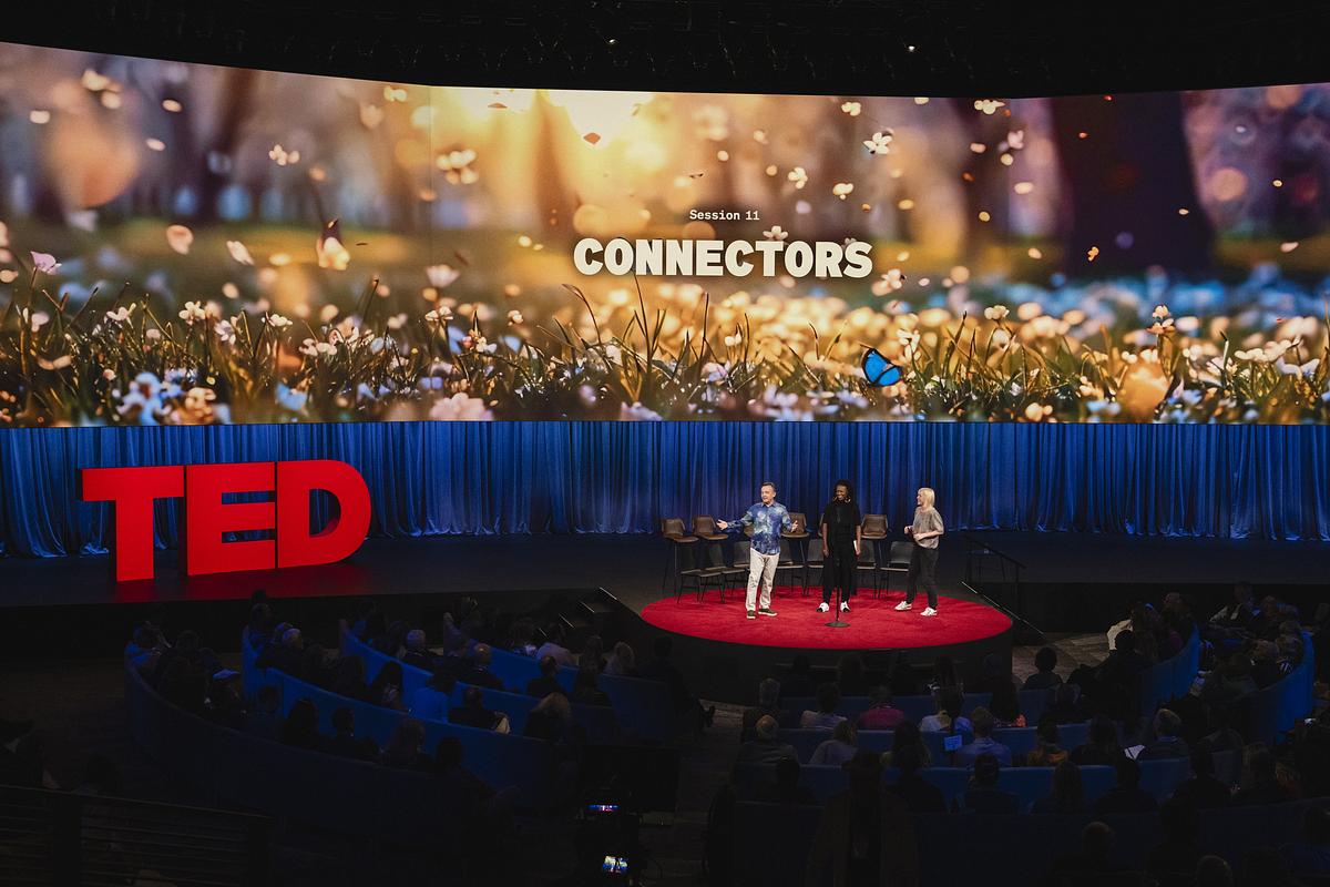 Connectors: Notes on Session 11 of TED2024 | TED Blog
